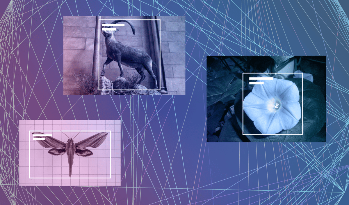 How To Identify A Models Vulnerabilities To Natural Adversarial